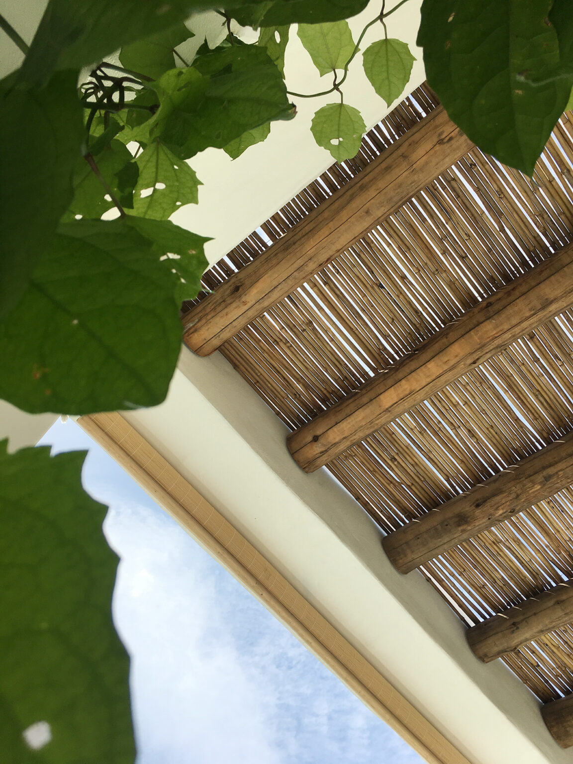 Bamboo Rod Screens | House of Bamboo